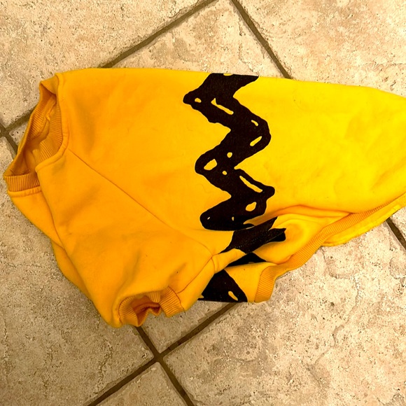 Bark Box | Dog | Dog Charlie Brown Sweat Shirtml | Poshmark